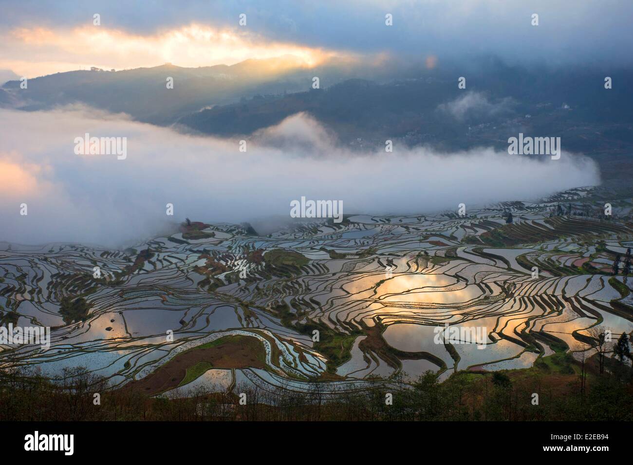 China Yunnan province Yuanyang Cultural Landscape of Honghe Hani Rice ...