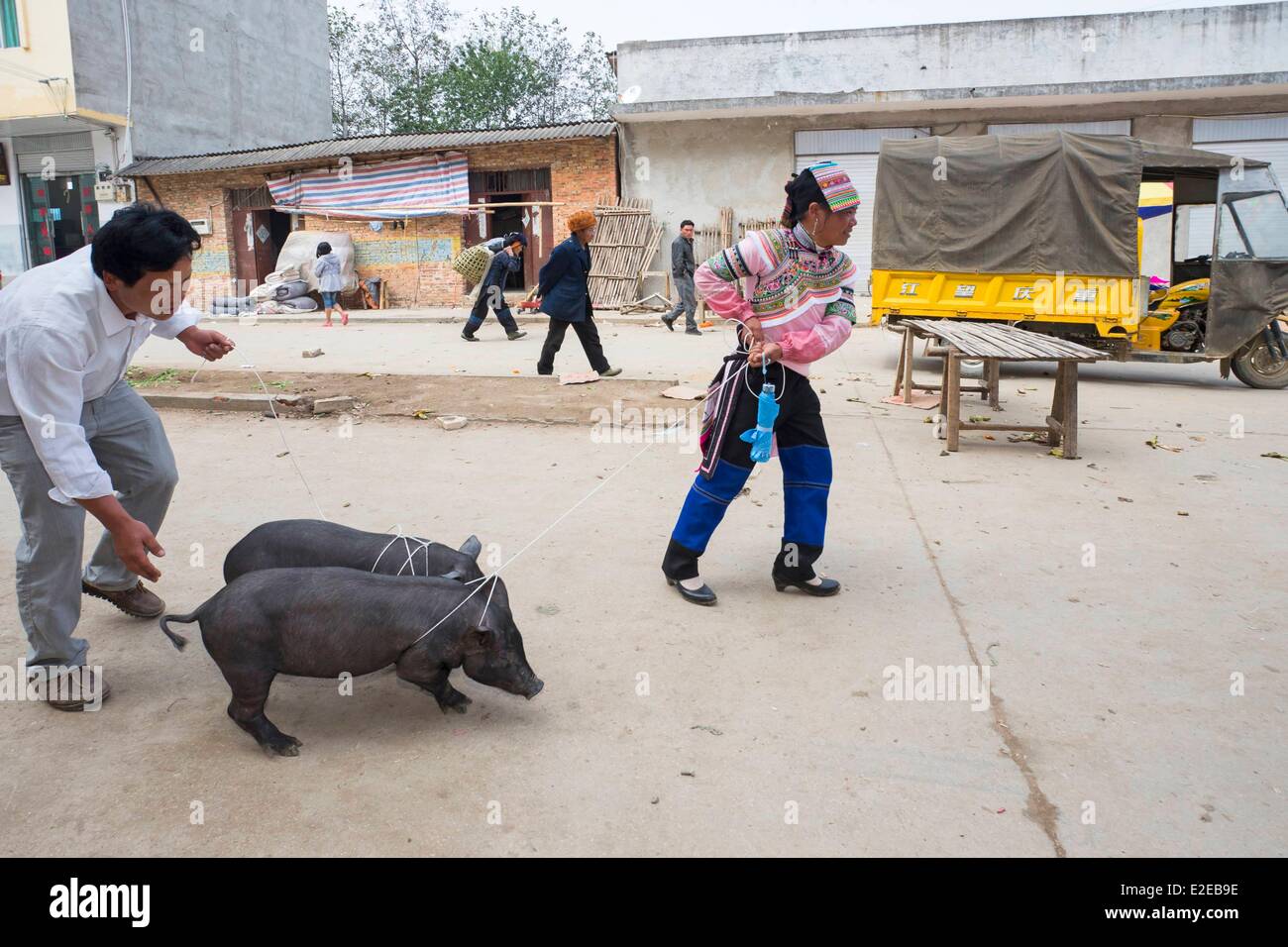 China pig truck hi-res stock photography and images - Alamy