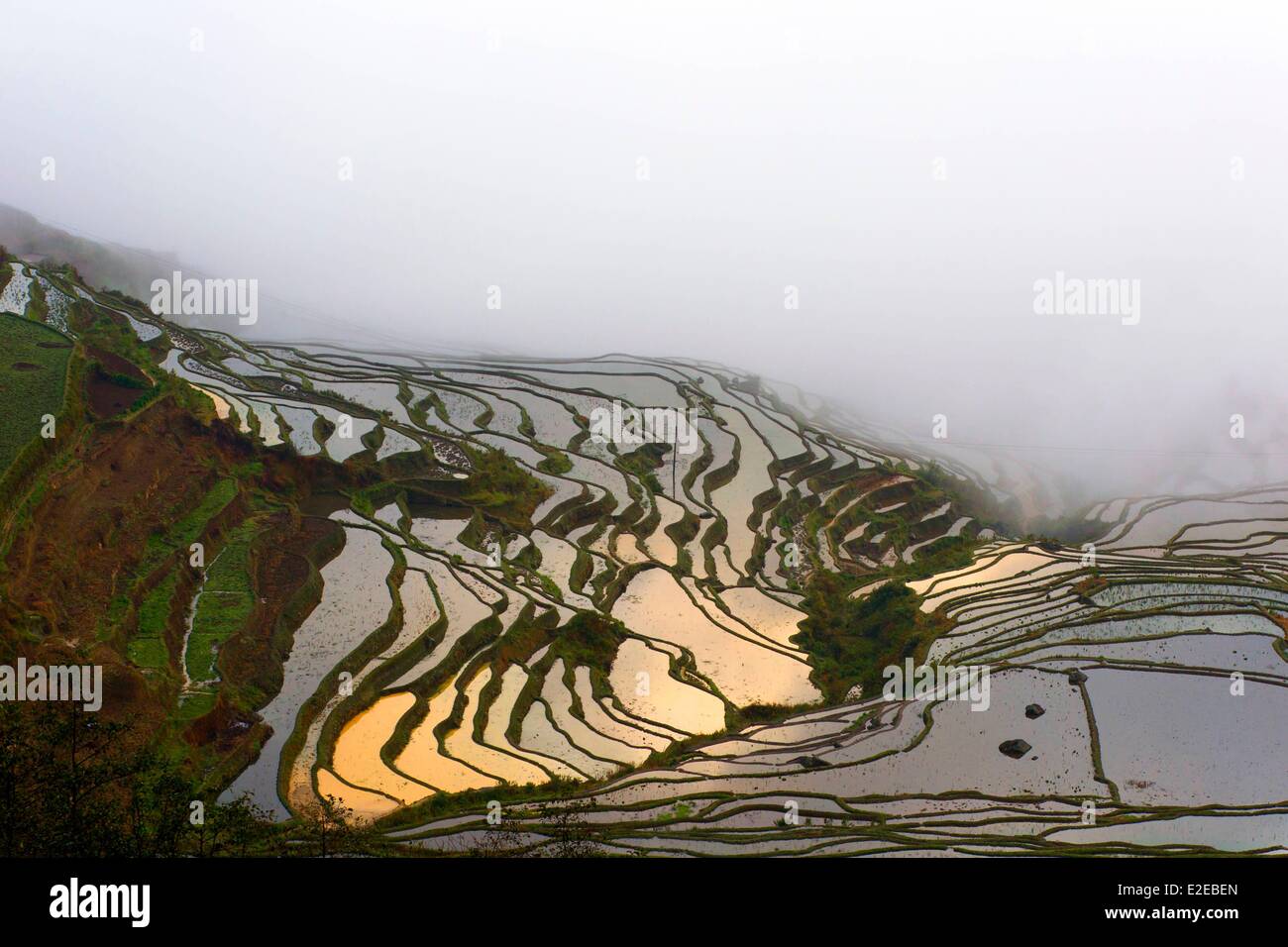 China Yunnan province Yuanyang Cultural Landscape of Honghe Hani Rice ...
