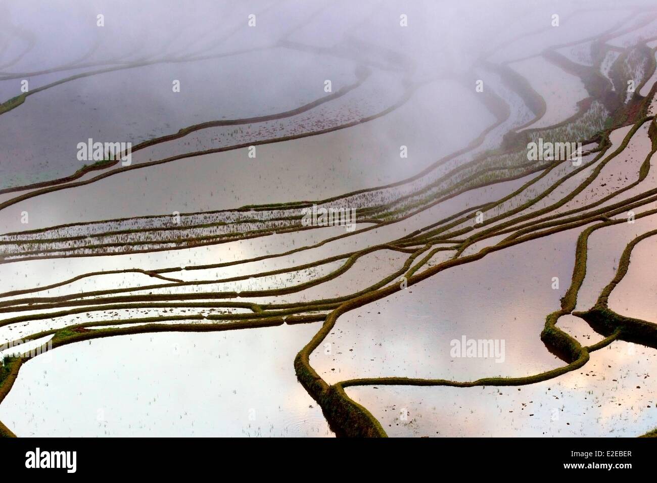 China Yunnan province Yuanyang Cultural Landscape of Honghe Hani Rice ...