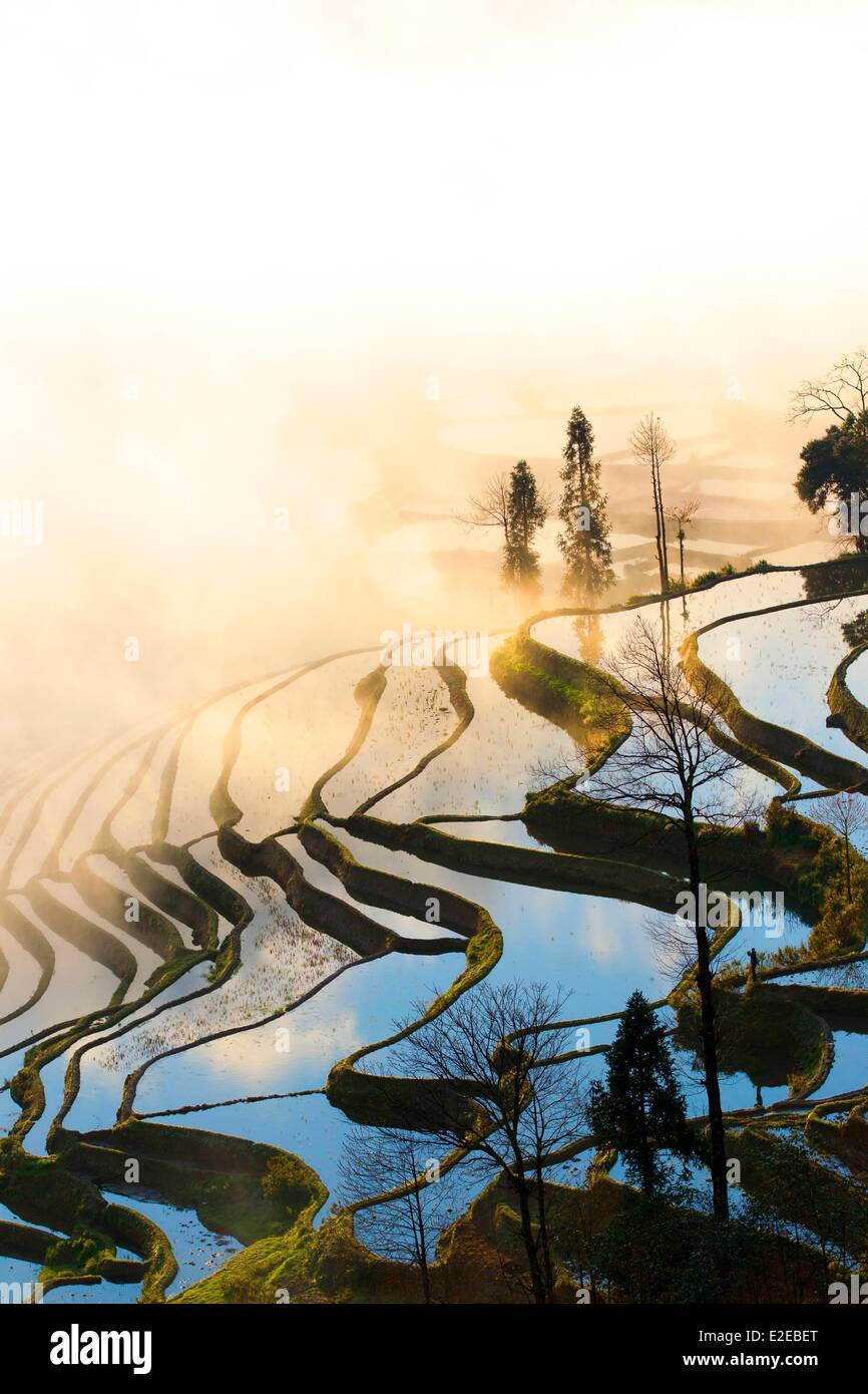 China Yunnan province Yuanyang Cultural Landscape of Honghe Hani Rice ...