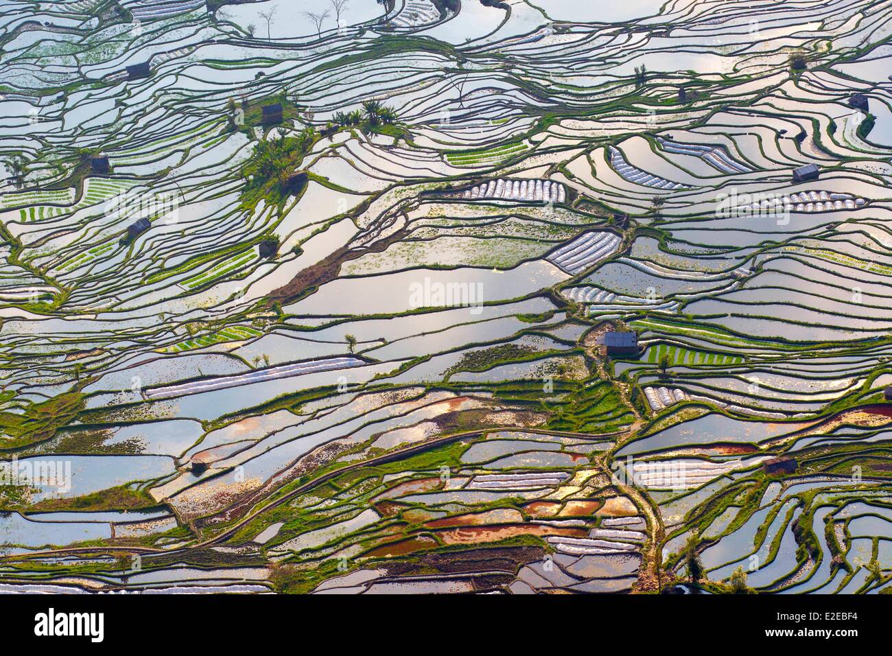 Honghe hani rice terraces hi-res stock photography and images - Alamy
