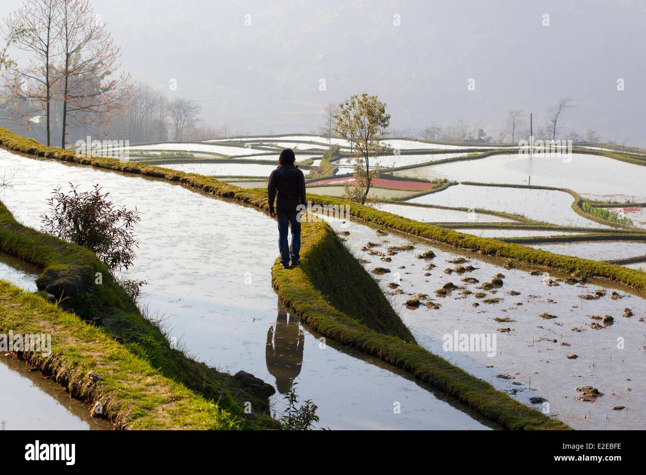 China Yunnan province Yuanyang Cultural Landscape of Honghe Hani Rice ...