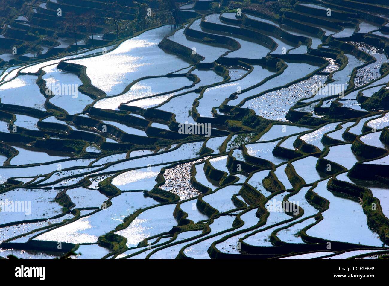 China Yunnan province Yuanyang Cultural Landscape of Honghe Hani Rice ...