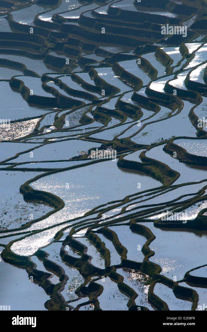 China Yunnan province Yuanyang Cultural Landscape of Honghe Hani Rice ...