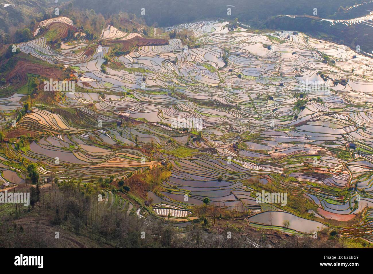 China Yunnan province Yuanyang Cultural Landscape of Honghe Hani Rice ...