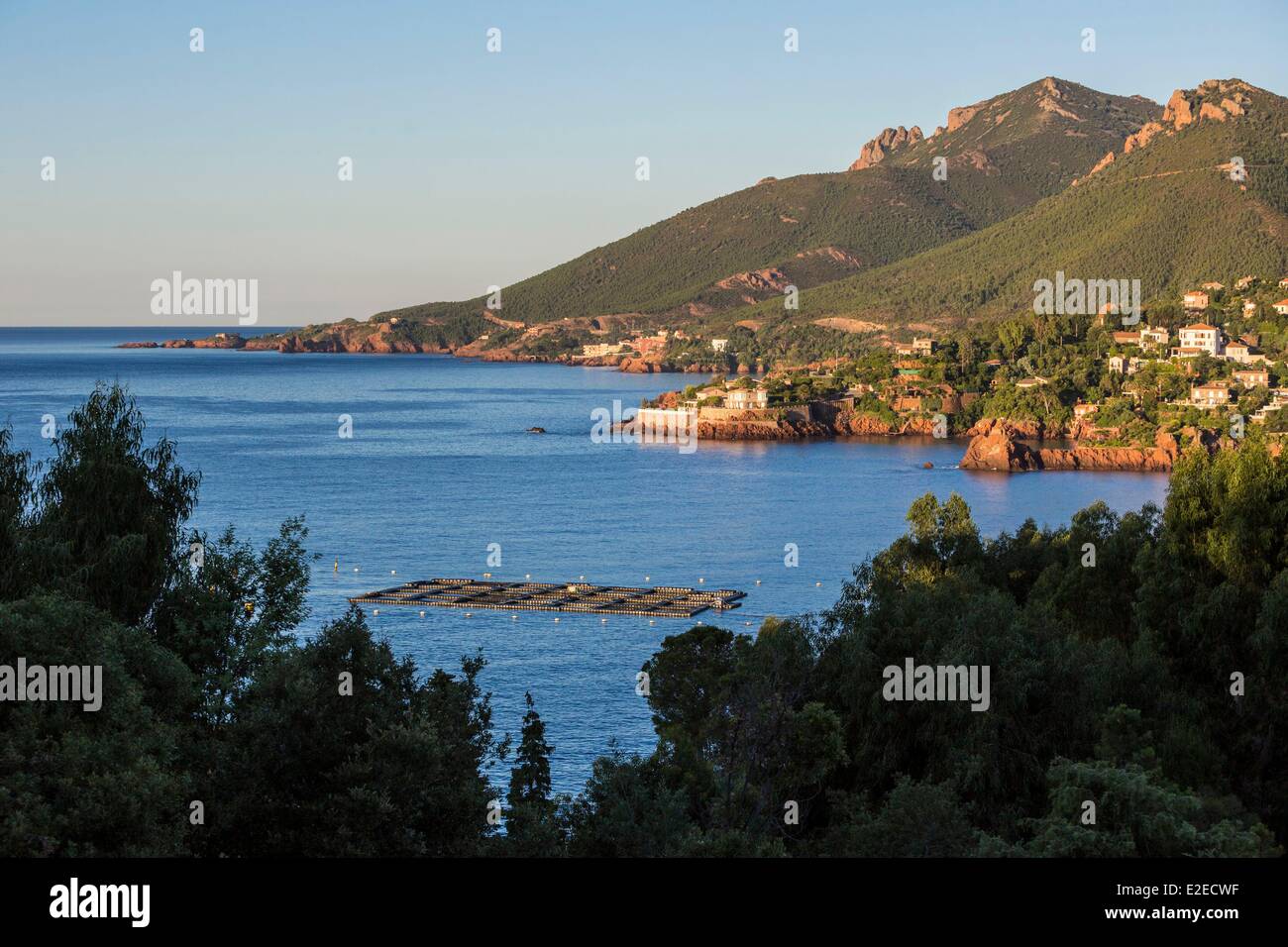 France Alpes Maritime Massif de l'Esterel Corniche d'Or (golden cornice ...