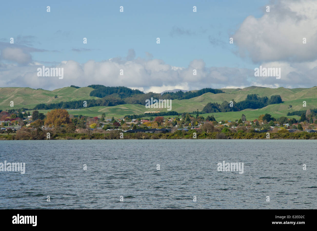 New Zealand, North Island, Rotorua, Lake Rotorua. Countryside autumn ...