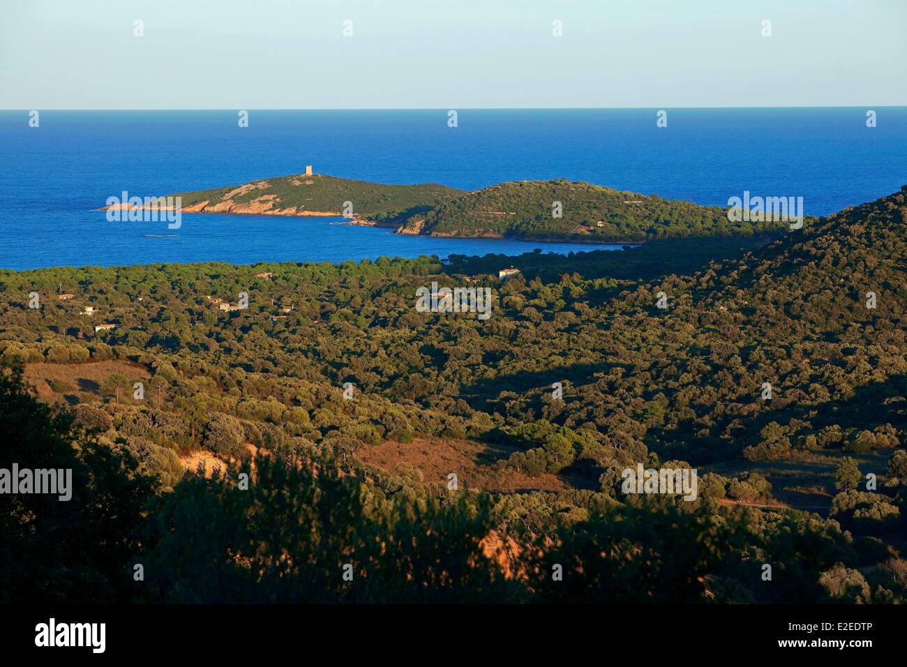 France, Corse du Sud, Porto Vecchio Gulf Pinarellu Pinarellu island ...