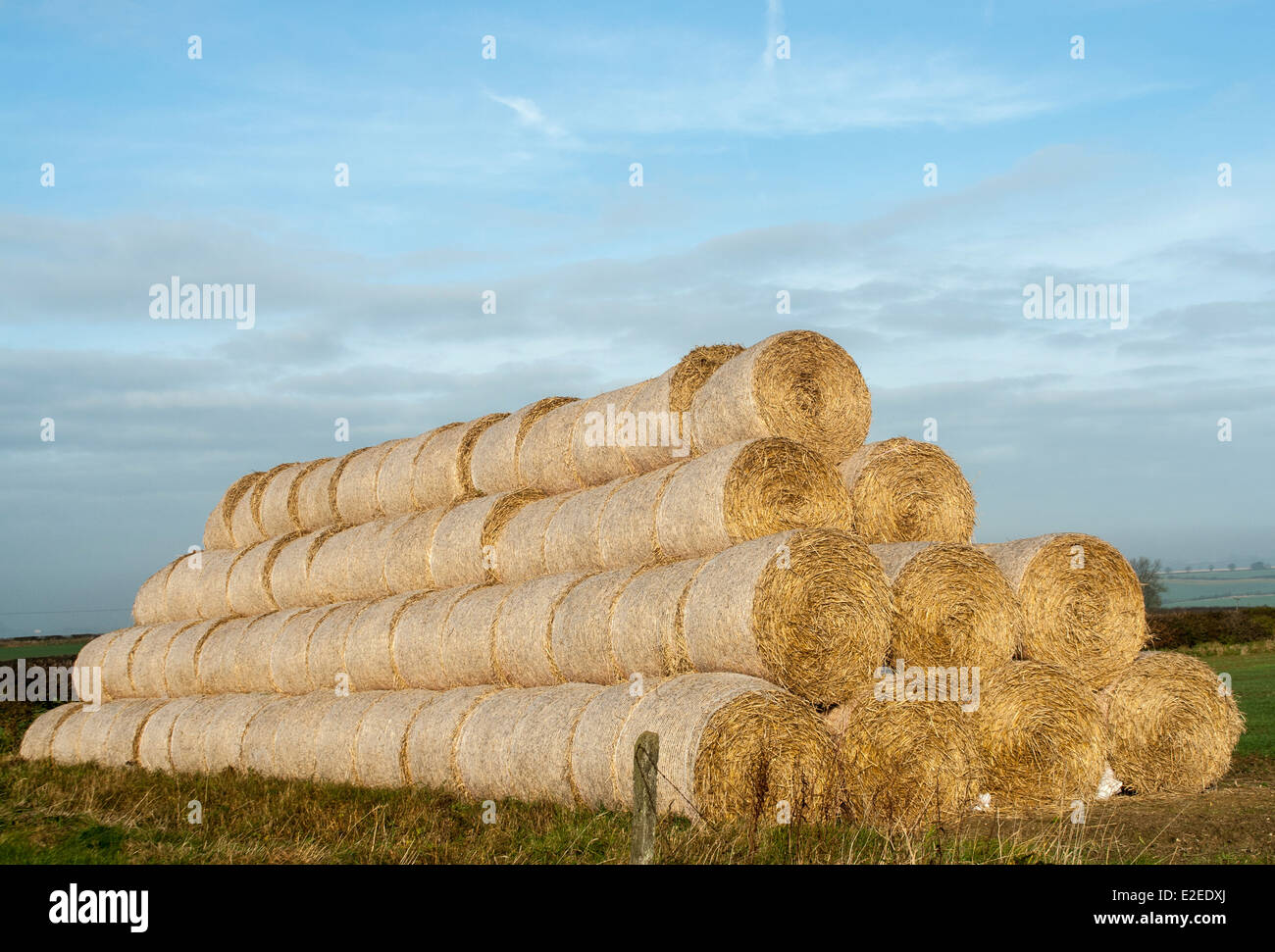 Round bales of hay in a landscape Stock Photo - Alamy