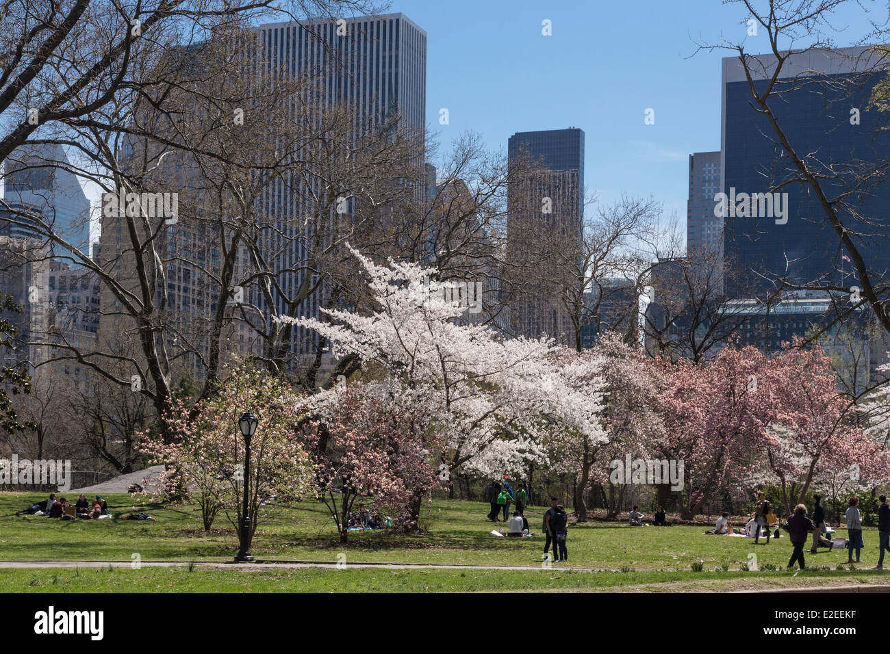 Crowds Enjoying a Springtime Day, Central Park, NYC, USA Stock Photo ...