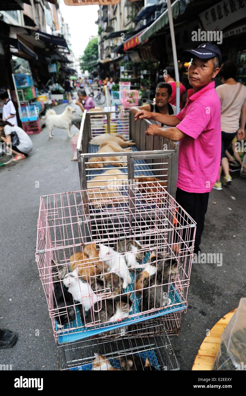 Guangzhou daily life hi-res stock photography and images - Alamy