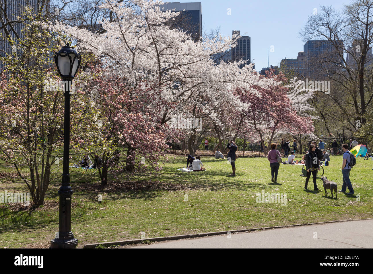 Crowds Enjoying a Springtime Day, Central Park, NYC, USA Stock Photo ...