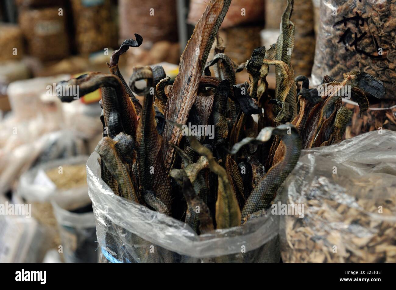 Dried snake hi-res stock photography and images - Alamy