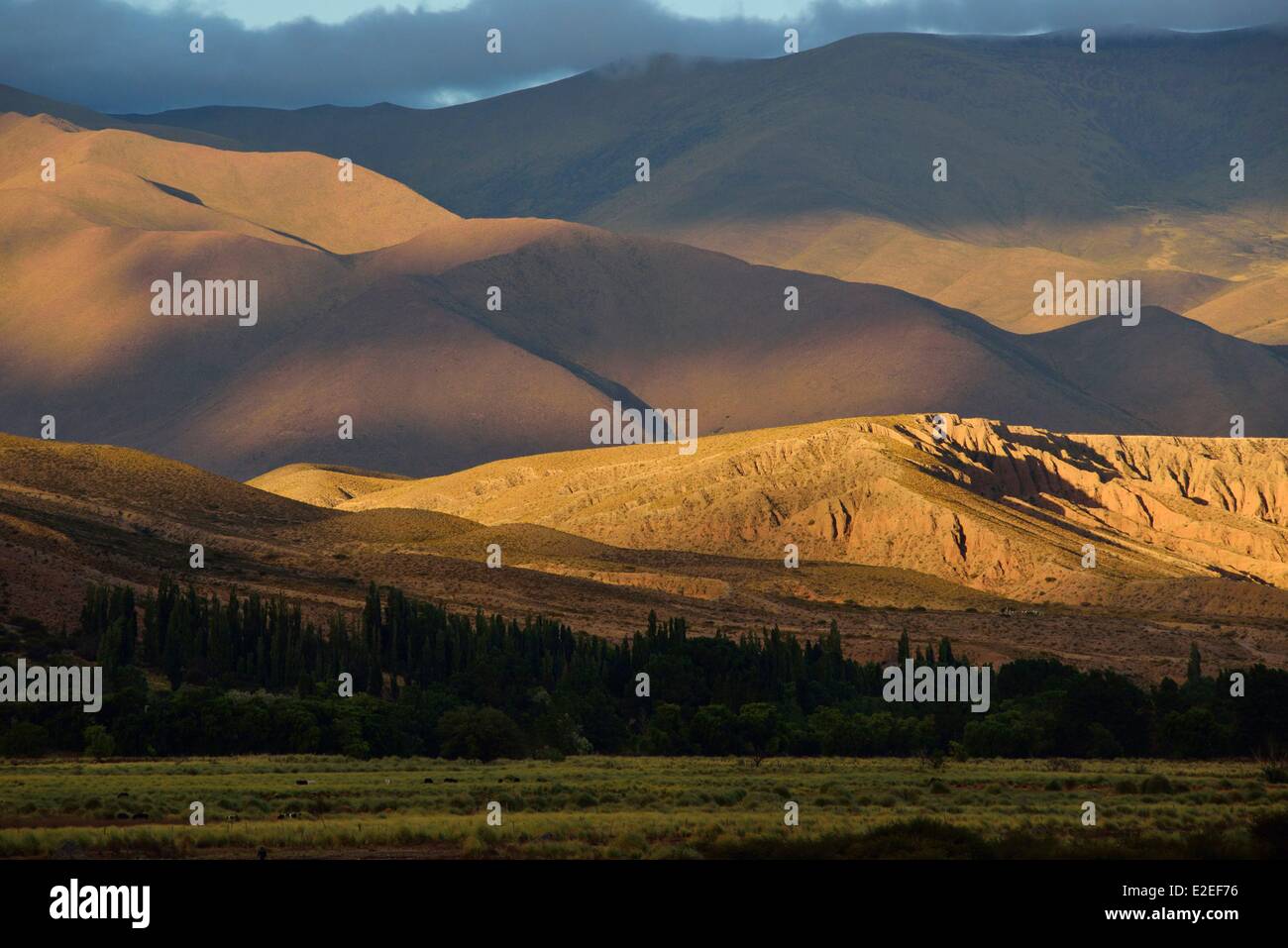Argentina, Province of Ju Juy, landscape near Ju Juy Stock Photo - Alamy