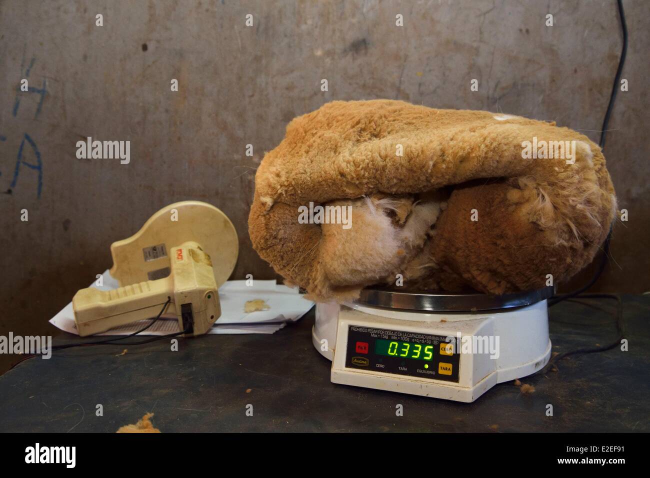 Wool weighing scales hi-res stock photography and images - Alamy