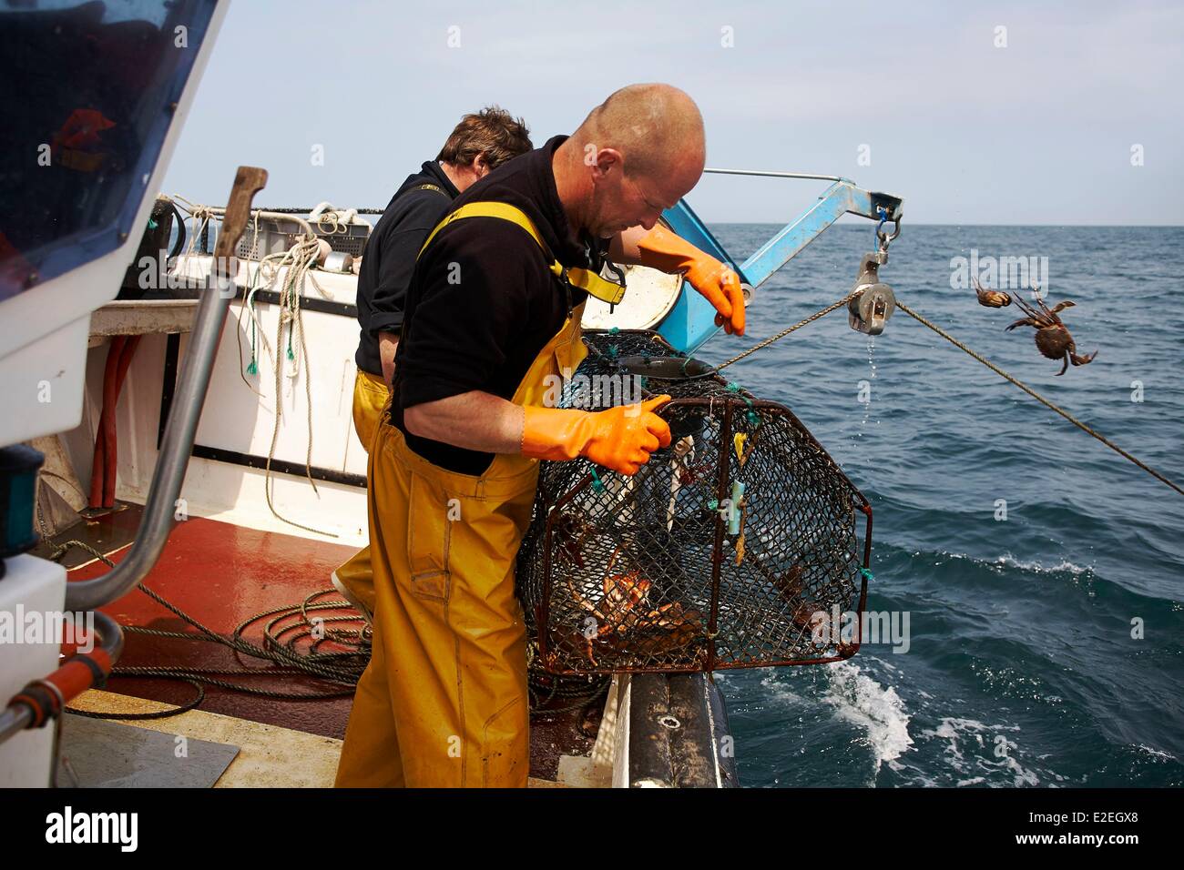 France, Cotes d'Armor, Perros Guirec, fishing for crustaceans in ...