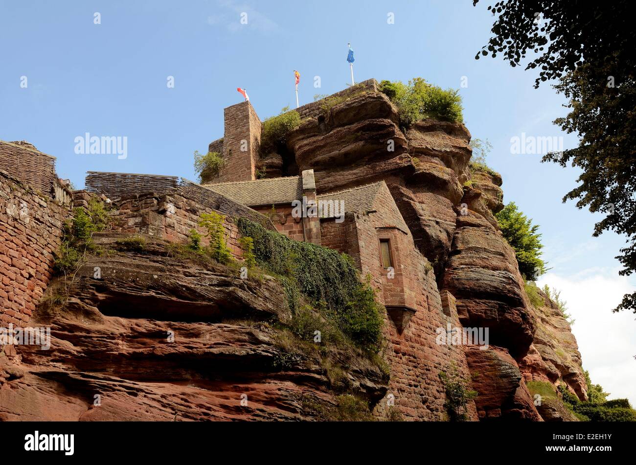 France, Bas Rhin, Saverne, Haut Barr castle dated 11th to 14th century ...