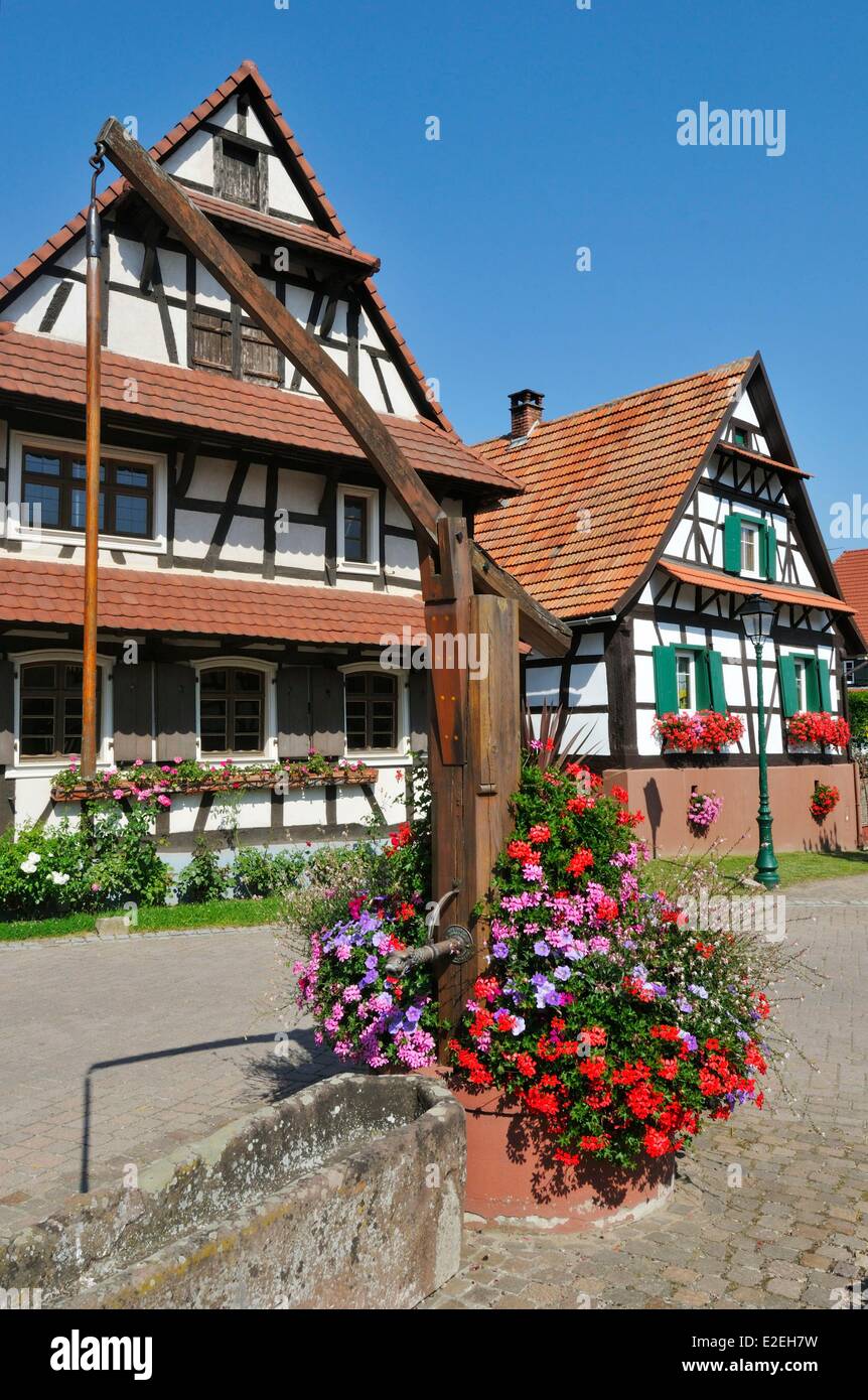 France, Bas Rhin, Soultz sous Foret, Hohwiller, timbered houses ...