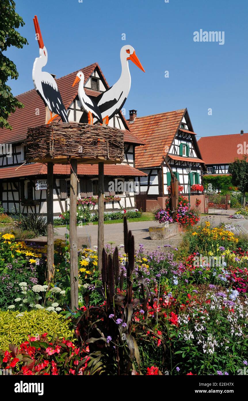 Pendulum nest hi-res stock photography and images - Alamy