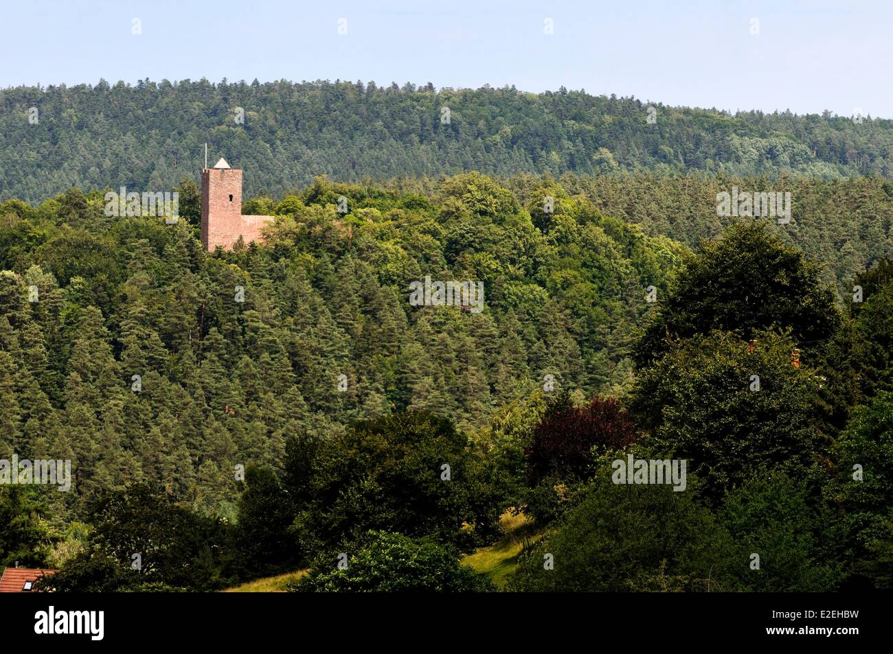 France, Bas Rhin, Wangenbourg Engenthal, castle dated 13th century ...