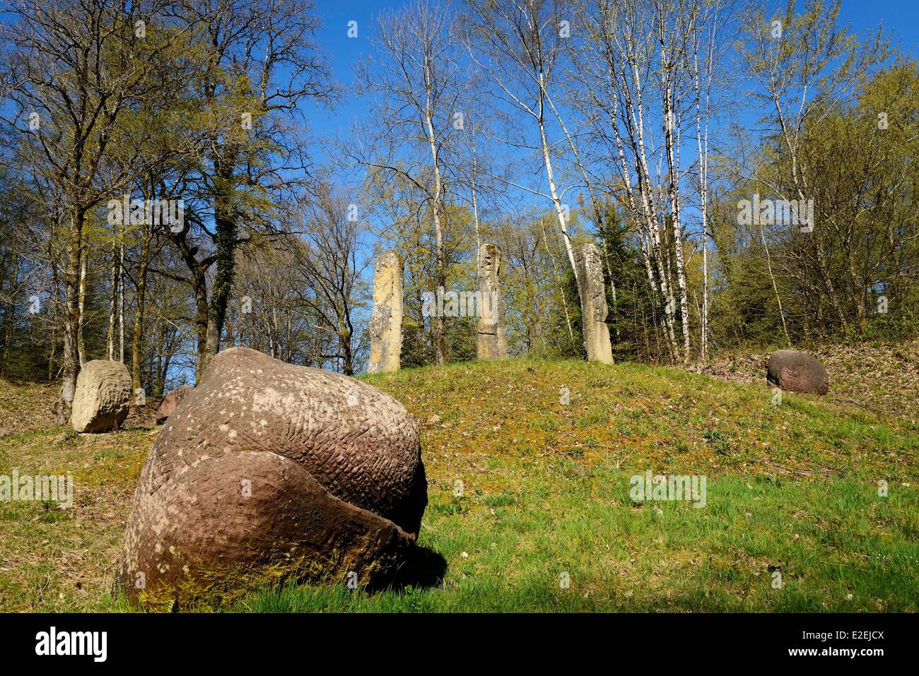Darney stone hi-res stock photography and images - Alamy