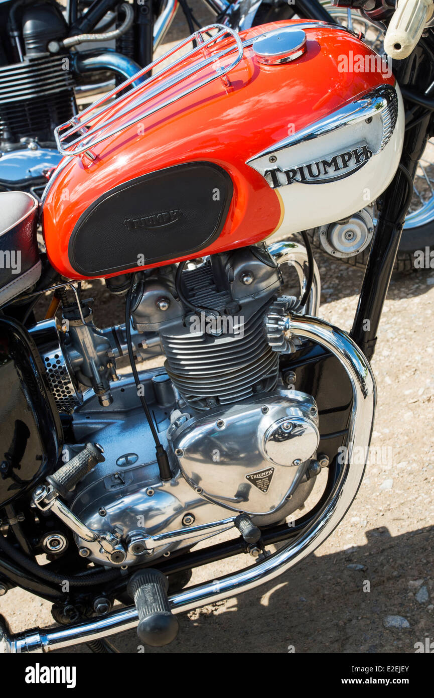 Triumph Tiger 90 motorcycle. Classic british motorcycle Stock Photo - Alamy