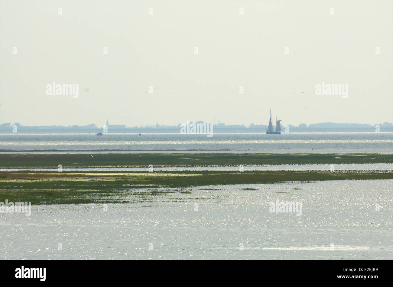 Low tide in the Wadden Sea with birds feeding seen from Schiermonnikoog ...
