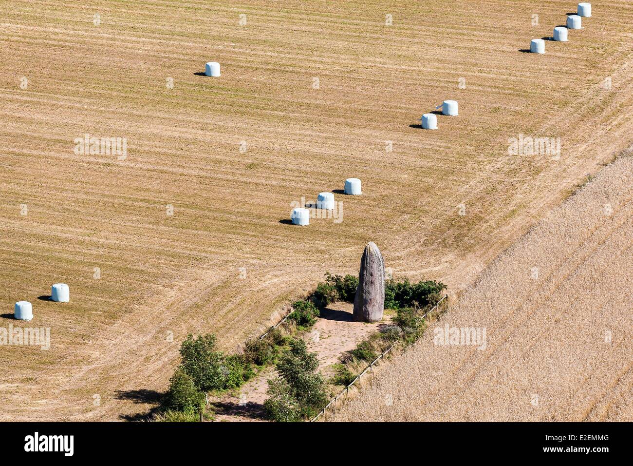 Macaire hi-res stock photography and images - Alamy
