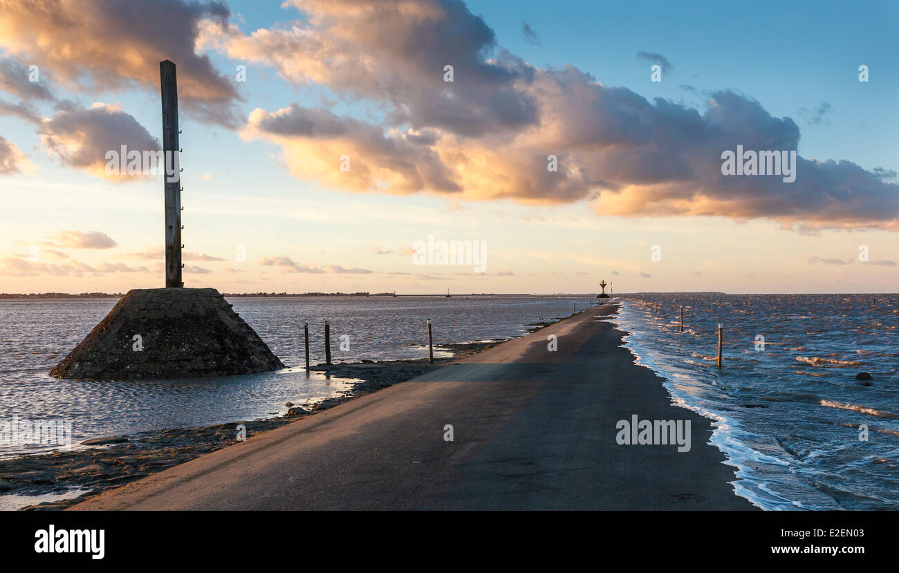 France, Vendee, Beauvoir sur Mer, passage du Gois, the road at rising ...