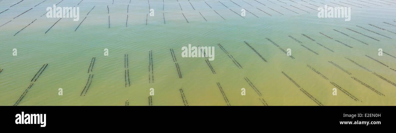 France, Vendee, La Faute sur Mer, mussel poles (aerial view Stock Photo ...