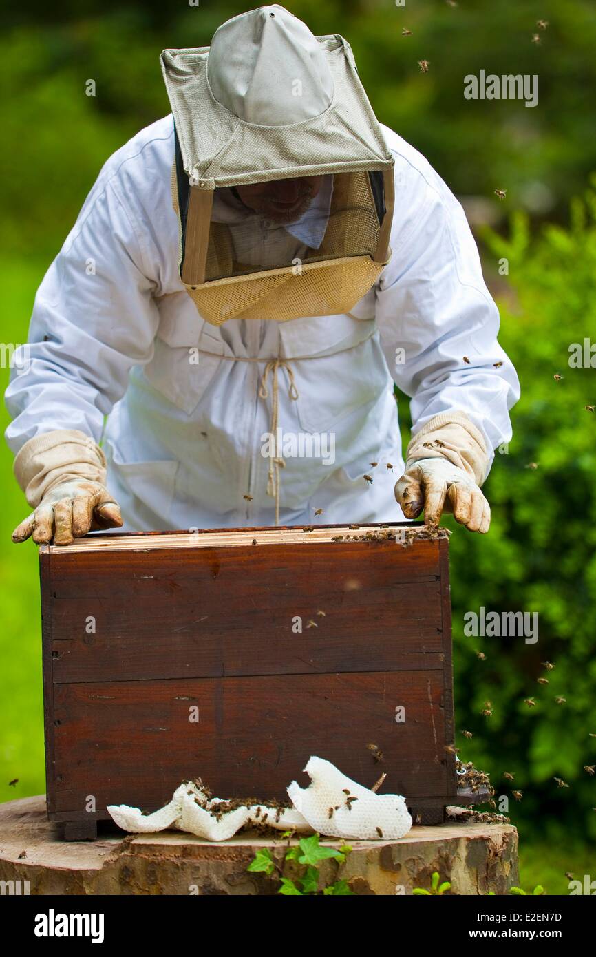 France, Isere, Grenoble, beekeeper, hive and bees Stock Photo - Alamy