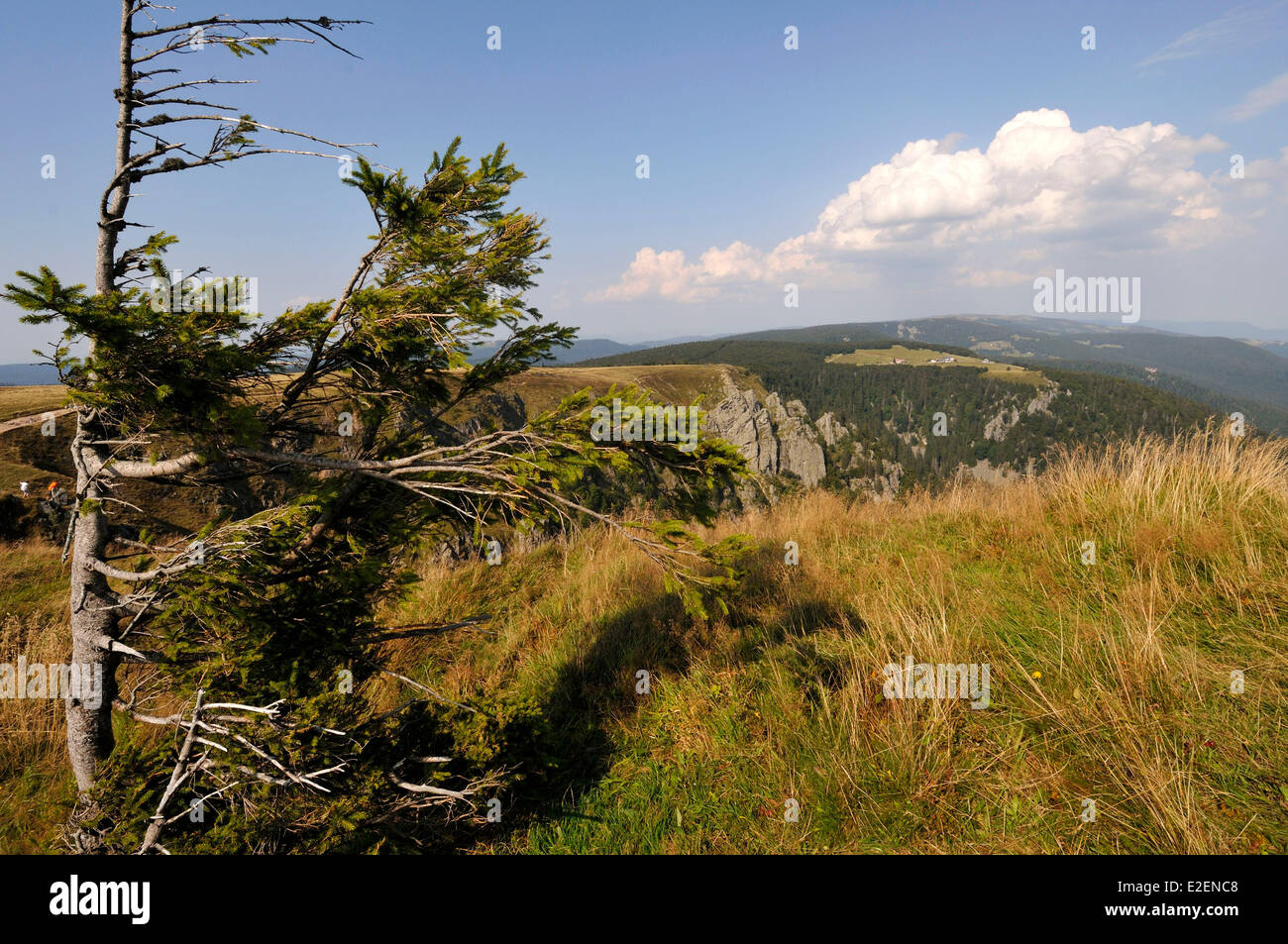 France, Haut Rhin, Hautes Vosges, Le Hohneck, Falimont pass, Trois ...