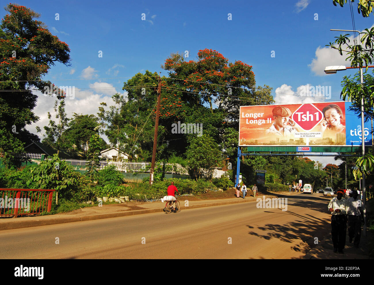 Tanzania, Arusha region, Arusha center street view with greenery and ...