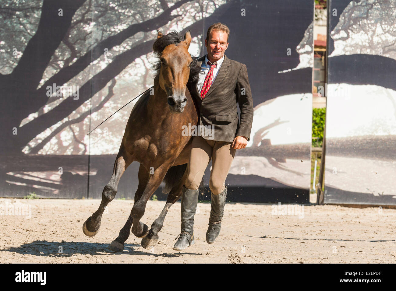 France, Vendee, La Roche-sur-Yon, Haras de la Vendee still houses a ...