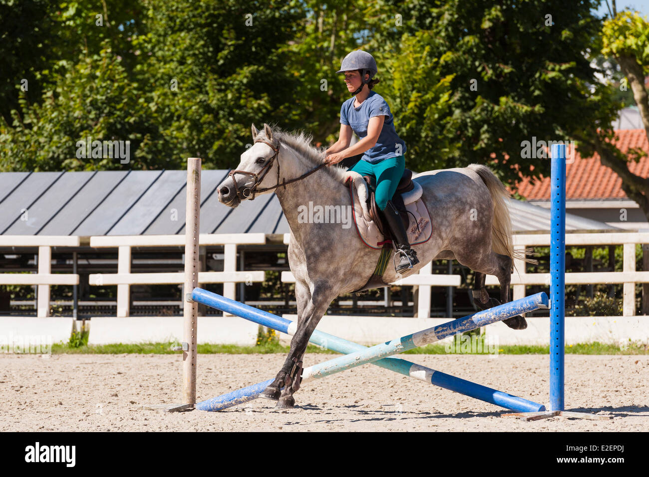 France, Vendee, La Roche-sur-Yon, Haras de la Vendee still houses a ...