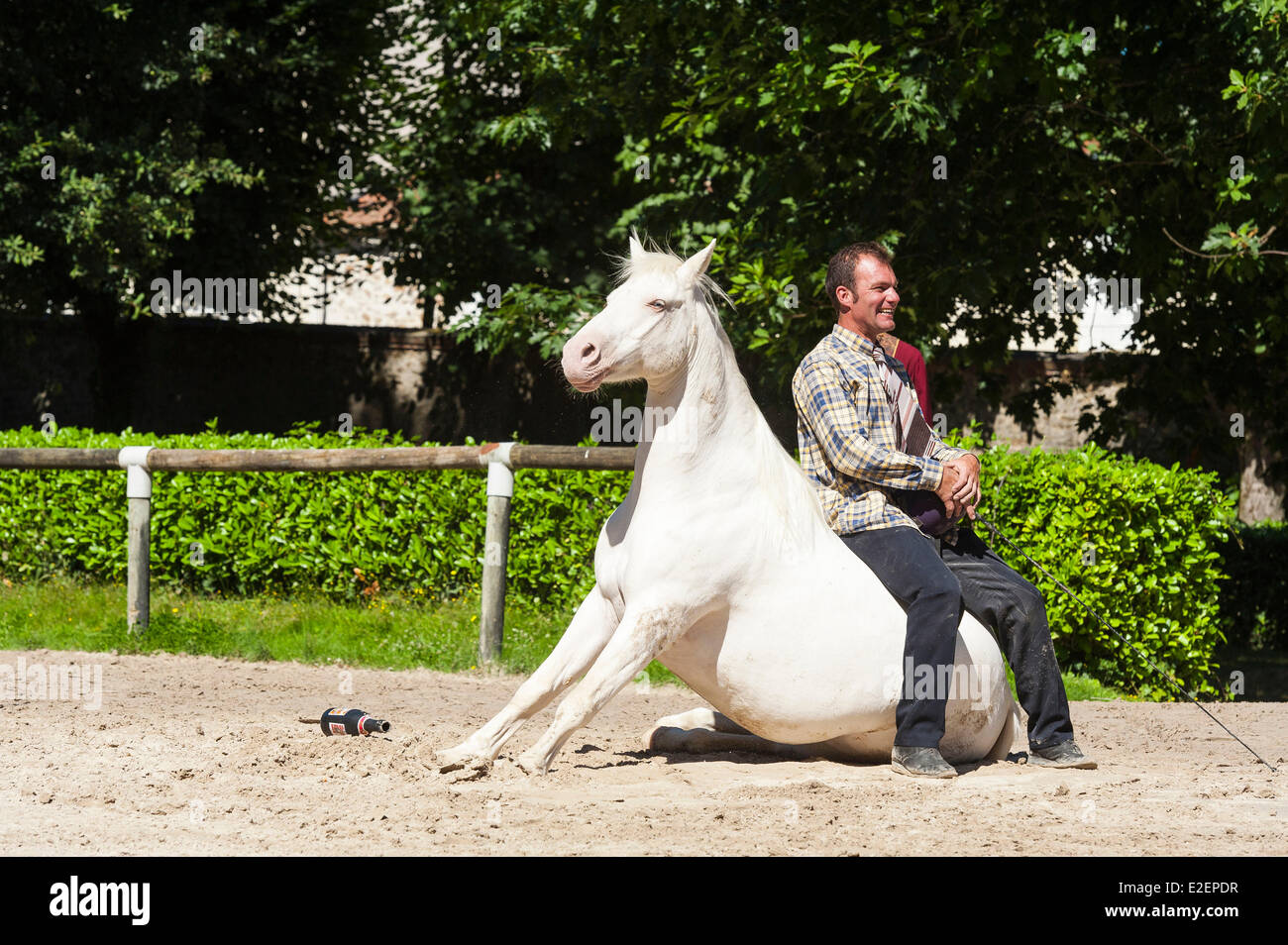 Haras de la vendee hi-res stock photography and images - Alamy