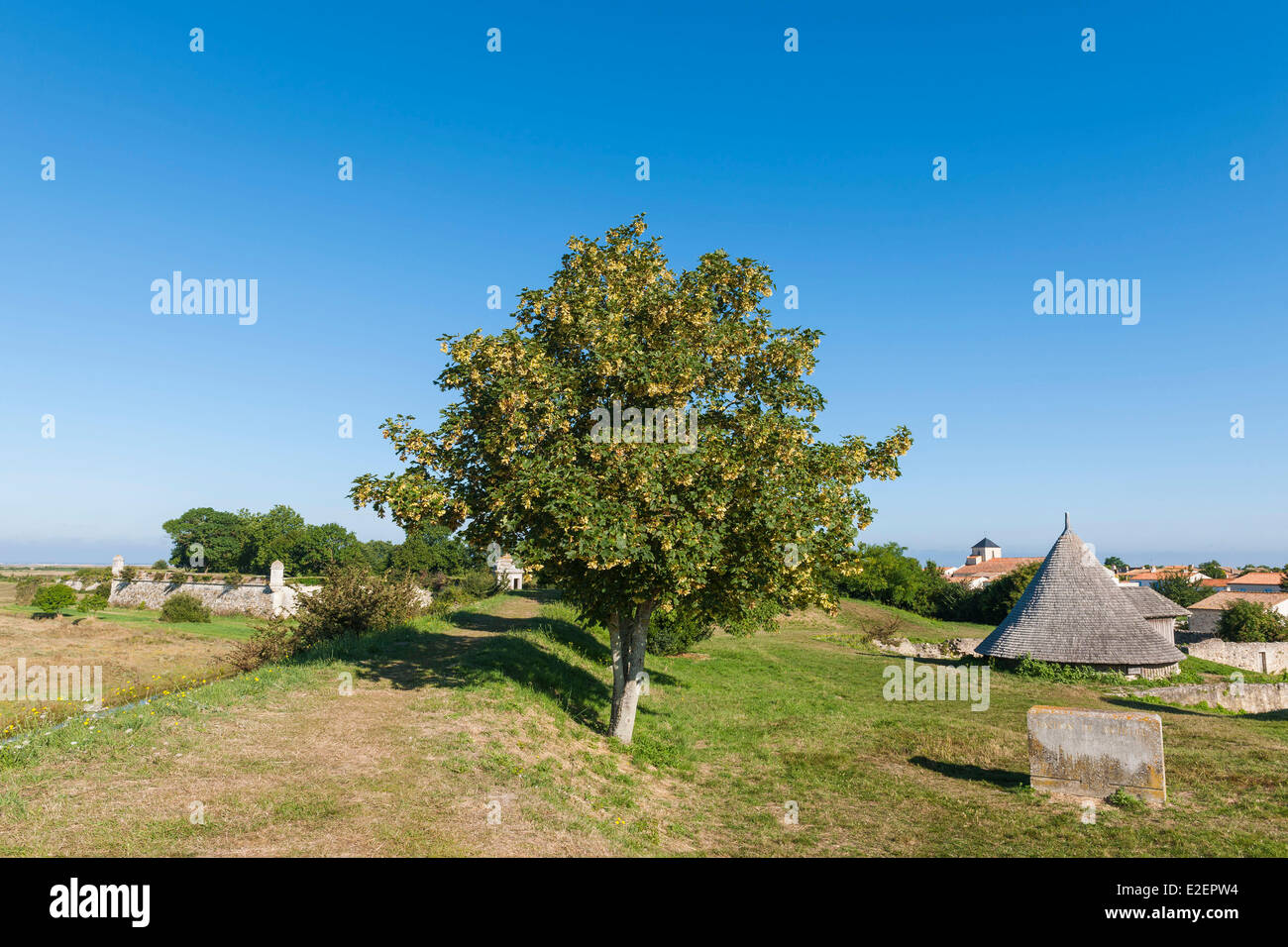 France, Charente Maritime, the citadel of Brouage Stock Photo - Alamy
