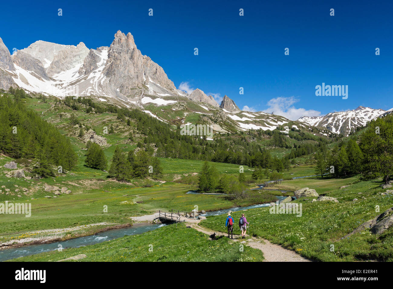 France, Hautes-Alpes, Nevache, vallee de La Claree, view of the Pointe ...