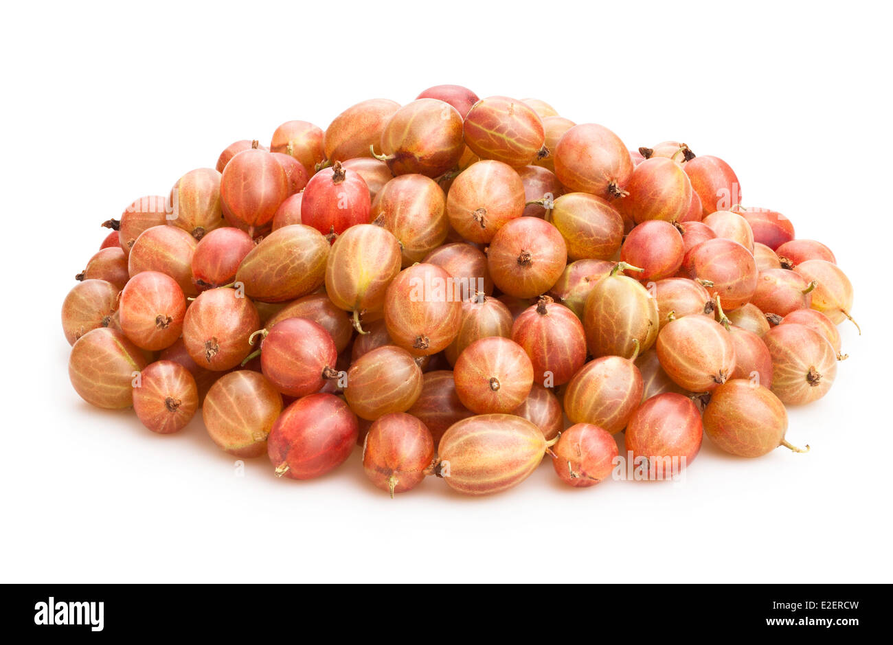 Gooseberry hi-res stock photography and images - Alamy