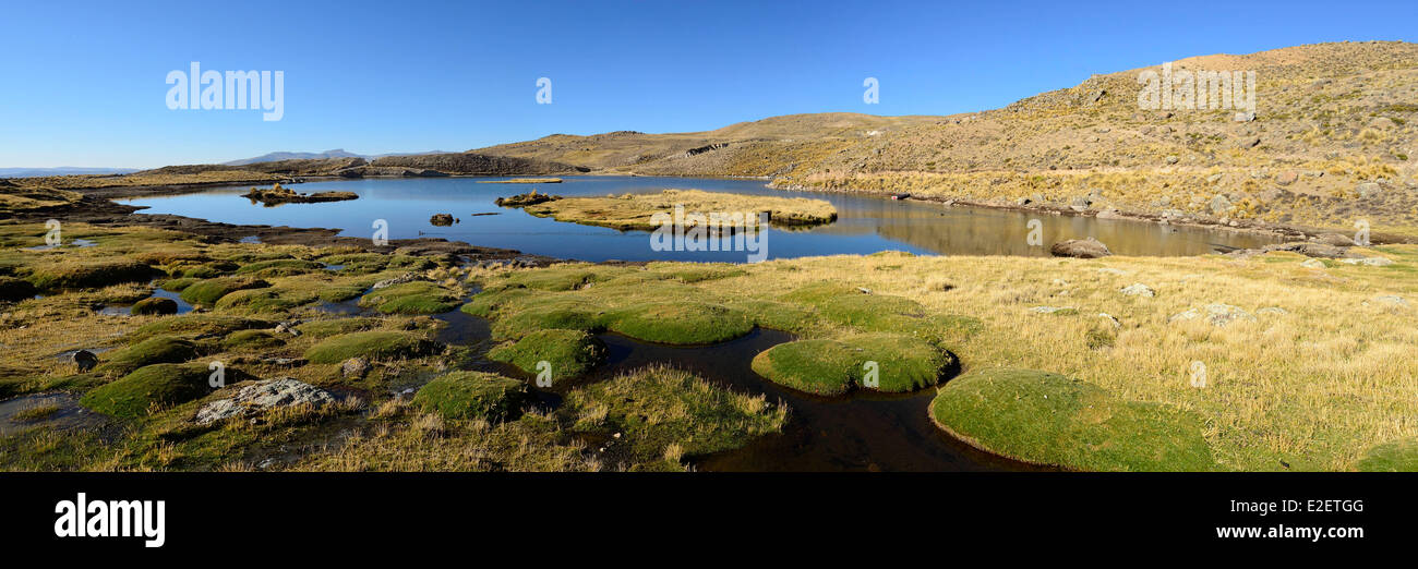 Mismi peru hi-res stock photography and images - Alamy