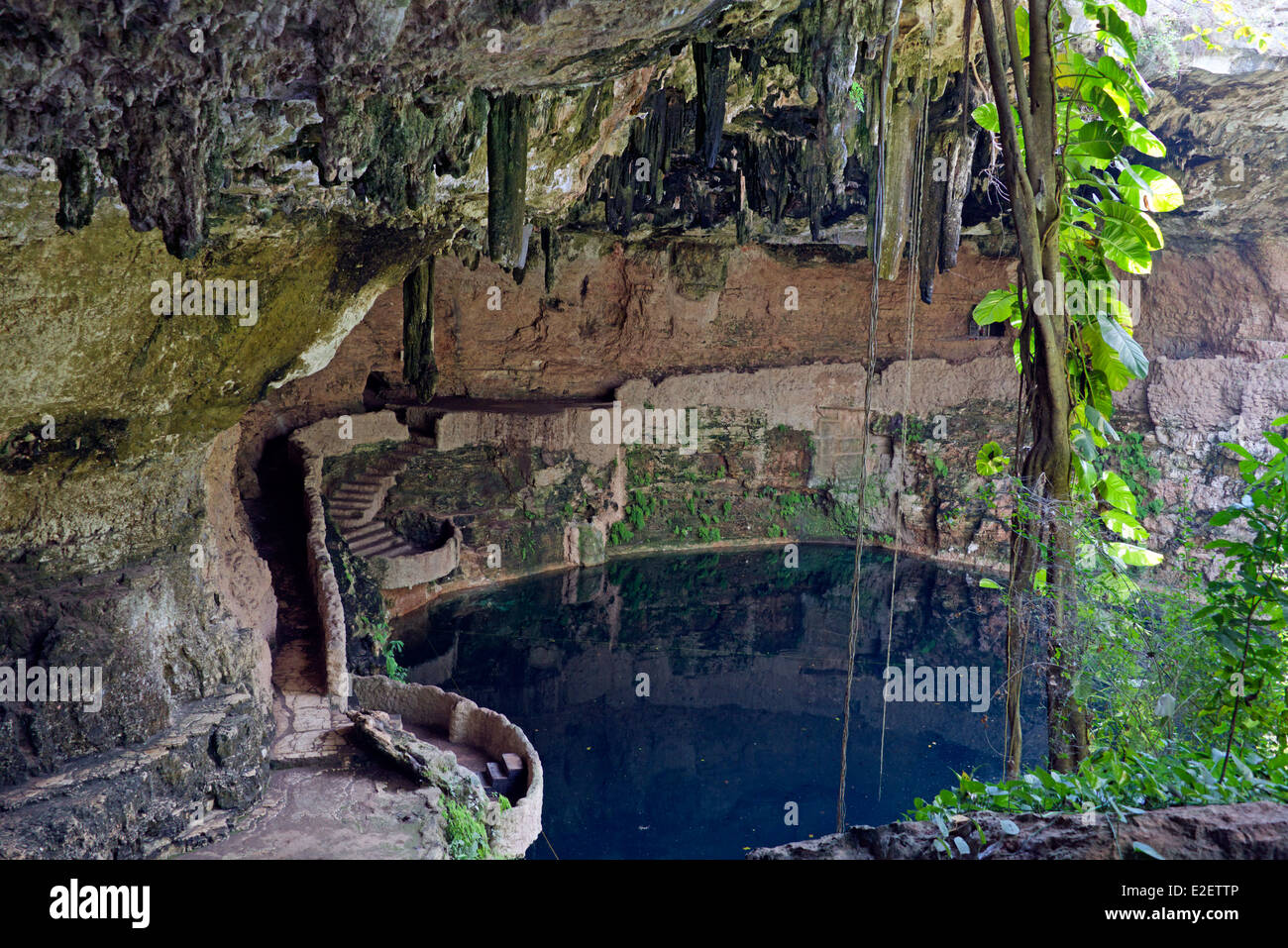 Cenote Zaci Valladolid Yucatan Mexico Stock Photo - Alamy