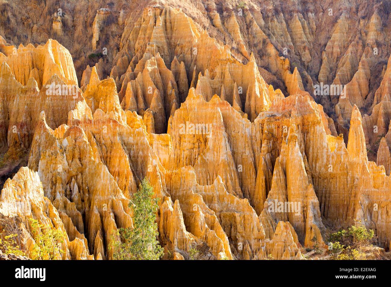 China Yunnan province Yuanmou forest earth clay Yuanmou is a ...