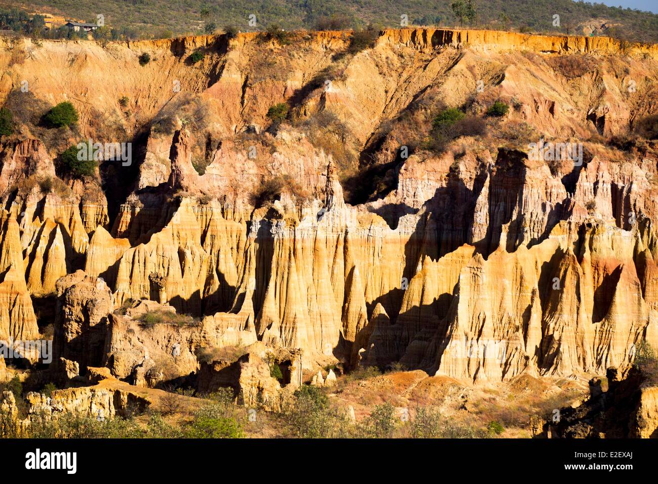 China Yunnan province Yuanmou forest earth clay Yuanmou is a ...