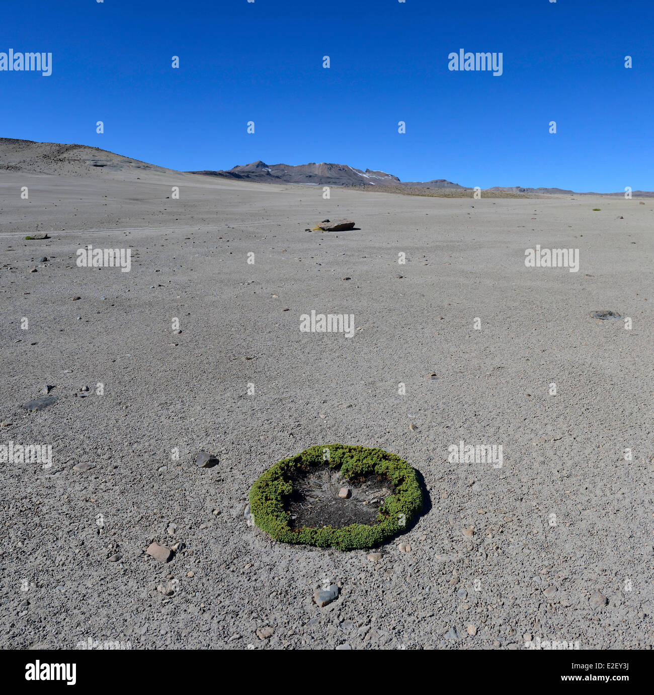 Mismi peru hi-res stock photography and images - Alamy