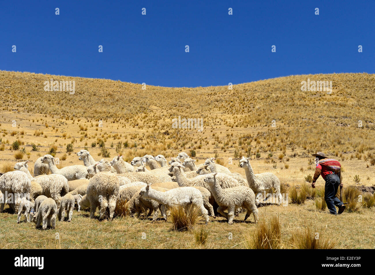 Mismi peru hi-res stock photography and images - Alamy
