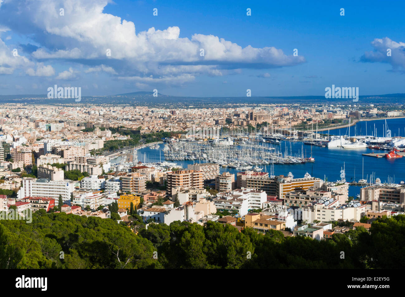 Spain, Balearic Islands, Majorca, Palma de Majorca, harbor bay from ...