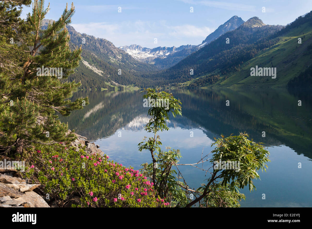 France, Hautes Pyrenees, Aragnouet, l'Oule lake Stock Photo - Alamy