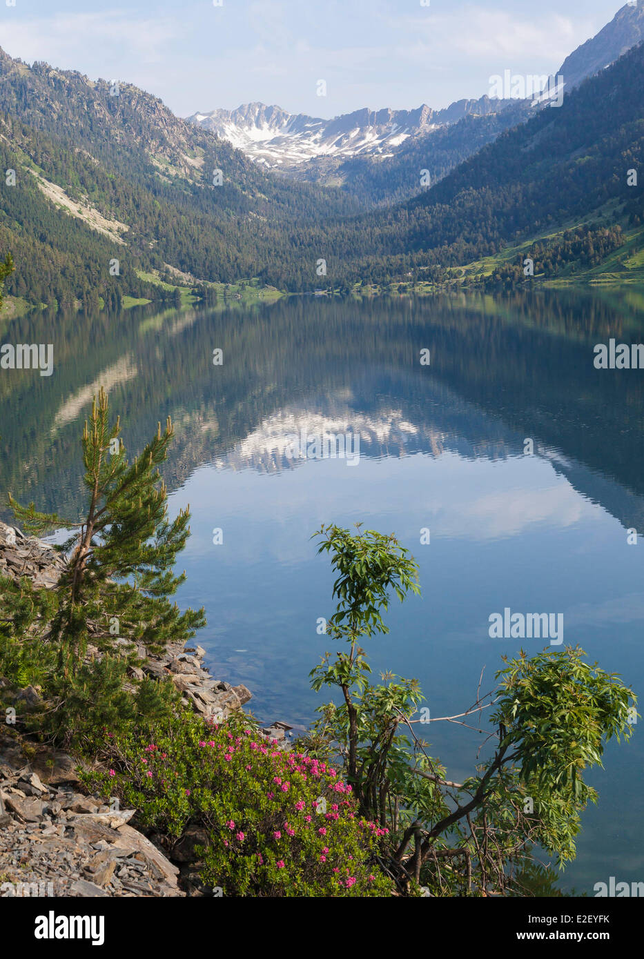 France, Hautes Pyrenees, Aragnouet, l'Oule lake Stock Photo - Alamy