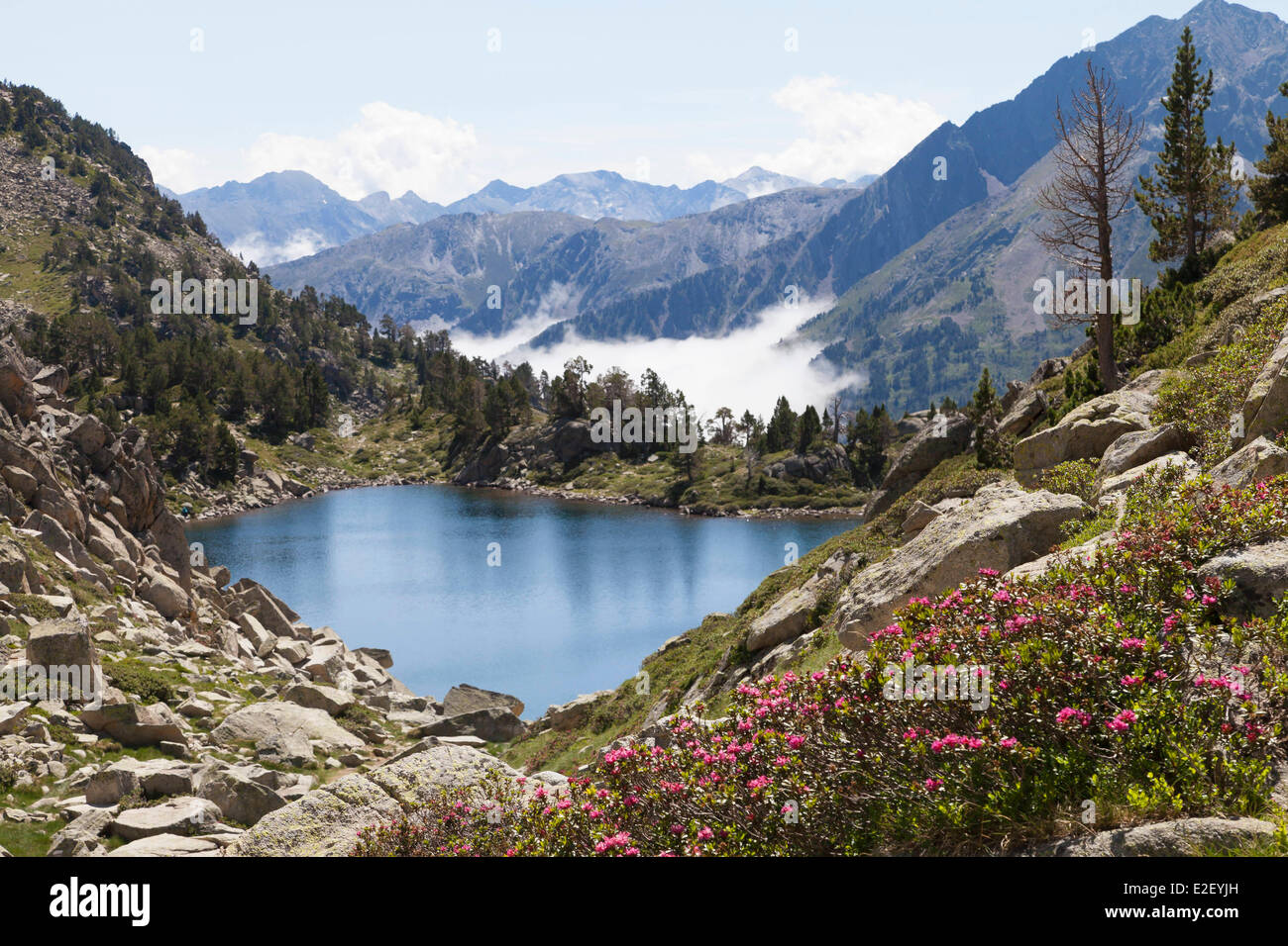 France, Hautes Pyrenees, Aragnouet, Neouvielle massif, Gourguet de ...